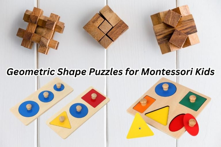 Best Geometric Shape Puzzles for Montessori Kids - SIK Montessori Material