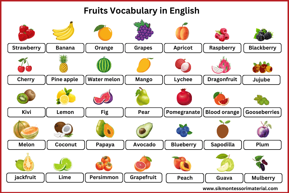 Fruit Names in English | Vocabulary Worksheets - SIK Montessori Material